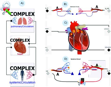 The Whole Diagram Of The Complex Model A The Overall Schematics Of Download Scientific