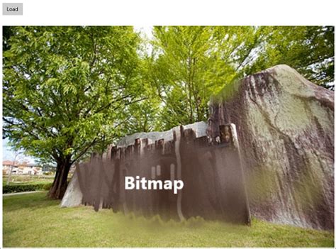 Quick Start ComponentOne Bitmap For UWP
