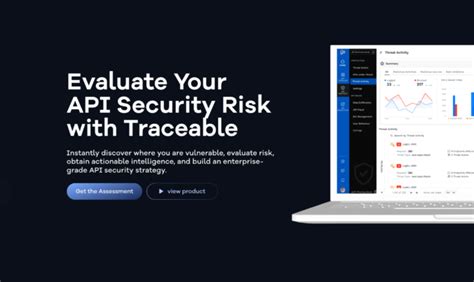 Api Security Risk Assessment Traceable Ai