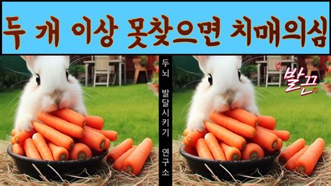 치매예방 및 다른그림찾기 귀여운 토끼가 당근을 먹고 있는 모습 등 5문제 2개만 맞춰도 정말 잘 하시는 거에요 숨은