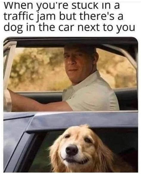 Such A Beautiful Moment R Wholesomememes