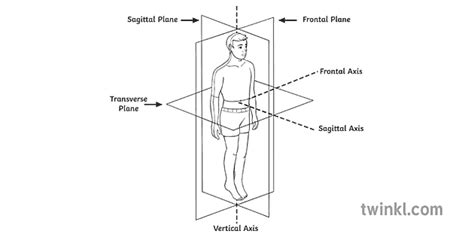 Frontal And Sagittal Planes Of Movement Diagram Pe Secondary