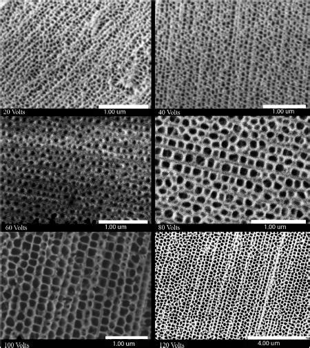 Dendritic Pattern Formation In Anodic Aluminum Oxide Templates