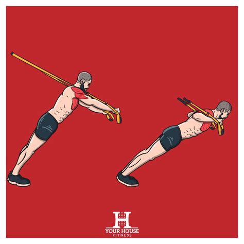 Exercise Tutorial Trx Push Up