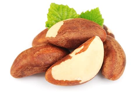 〈영양〉남자에게 ‘참 좋은 음식 10가지 옥타미녹스