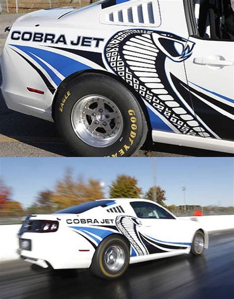 포토 독 품은 머스탱 코브라 제트 콘셉트카 무한 질주