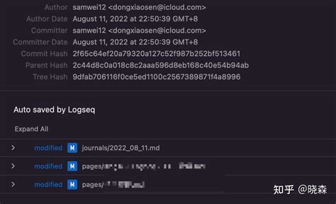 Logseq 系列之 Git 同步 知乎