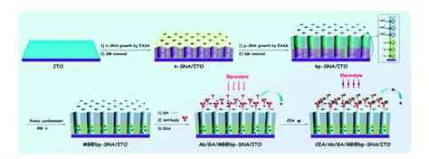 Schematic Illustration For The Fabrication Of Probe Integrated