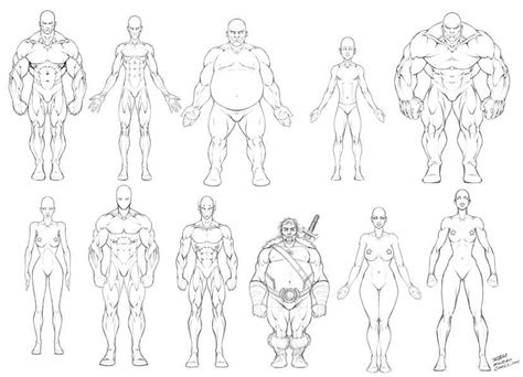 Body Proportions Reference Sheet By Waterknightdxd On Deviantart