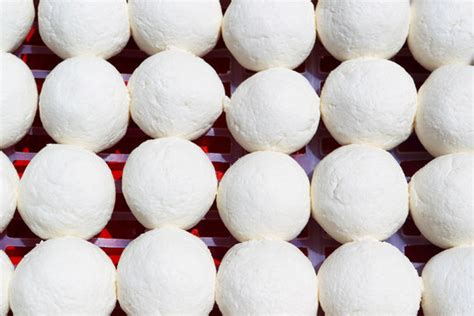 「kurut」の画像 107 件の Stock 写真、ベクターおよびビデオ Adobe Stock