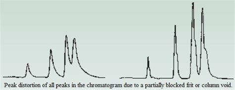 What Is Distortion For Peaks In The Chromatogram
