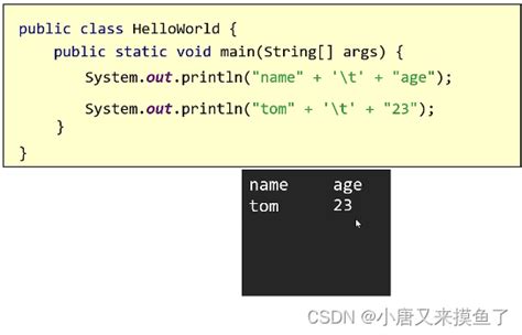 黑马程序员java部分笔记（持续更新）二字面量 Csdn博客