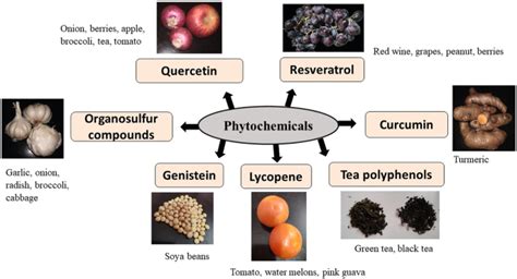Insight Into The Role Of Dietary Phytochemicals In Cancer Treatment And