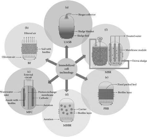 Types Of Bioreactor Design Talk