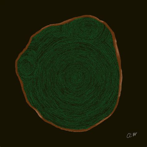 Cross Section Of A Tree On Behance
