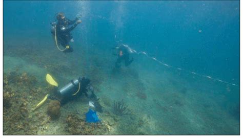 1 2 Mise En Place Dun Filet Maillant Dans Le Récif Pour Le Projet Download Scientific