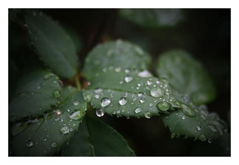 Tiny Vesicles Ii By Kaaaaayla On Deviantart