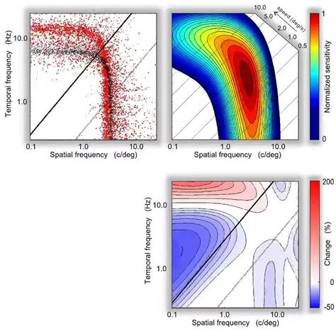 Spatiotemporal Contrast Sensitivity Adaptation Youtube