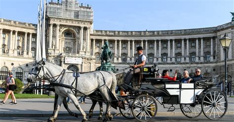 Vienna 30 Minute Fiaker Ride In The Old Town Getyourguide