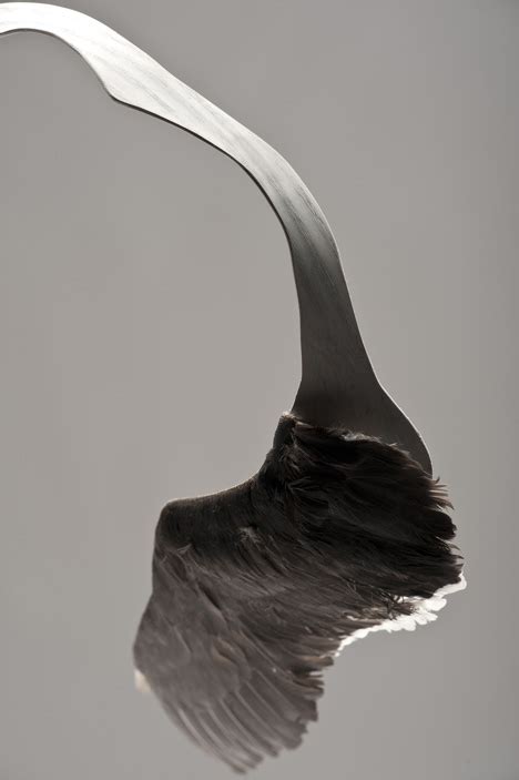 Field Dressing By Sruli Recht Dezeen
