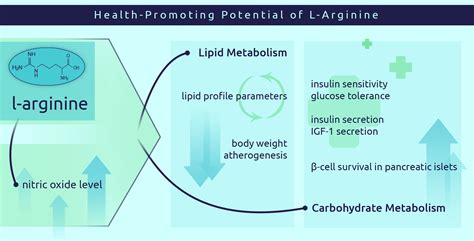 Arginine