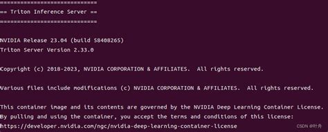 triton算法服务部署：初识与试用【hello world】 triton cv服务部署 csdn博客