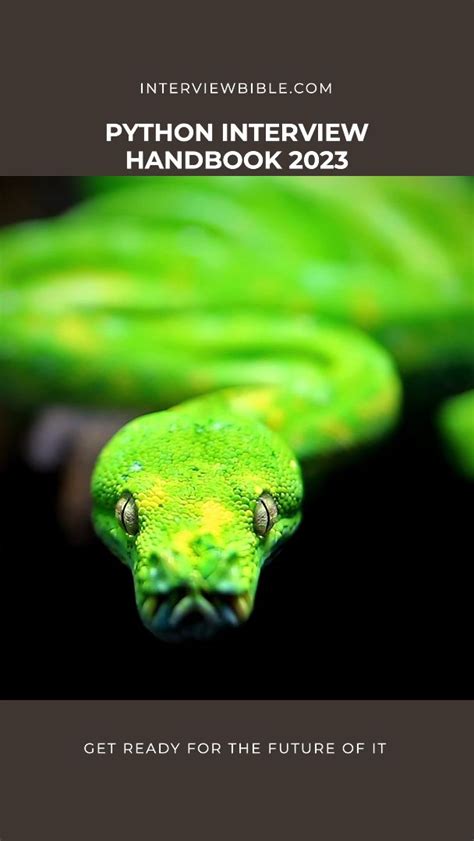 Nezir Zahirović On Linkedin Programminginterviews Interviewsuccess