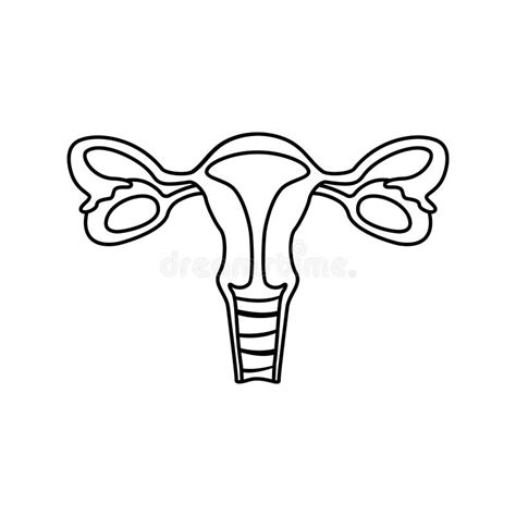 Female Reproductive System Icon Linear Template For Anatomy Poster