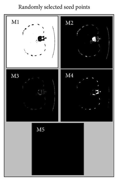 Importance Of Selection Of Seeds Points For The K Means Algorithm A