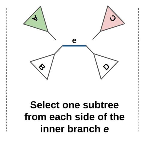 A An Spr Move Example The Subtree P Is Pruned From The Initial Download Scientific Diagram