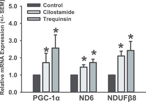 Pde3 Inhibitors Cilostamide Or Trequinsin Induce Mitochondrial Protein Download Scientific