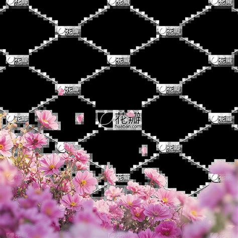 植物系列写实风前景虚化花海边框元素素材 花瓣网