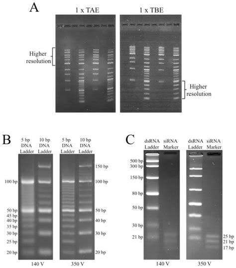 Modification Of Gel Architecture And Tbetae Buffer Composition To