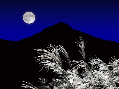 夏の終わりを感じる風物詩 日本の歩き方