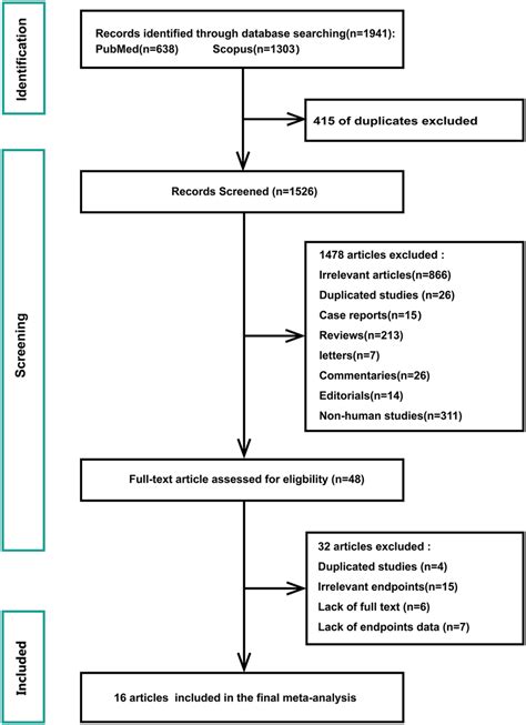 Flowchart Of Database Search And Text Screening Procedure Download