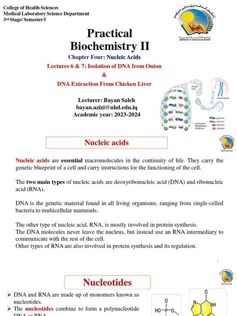Lec 4 Nucleic Acid 2024 Pdf