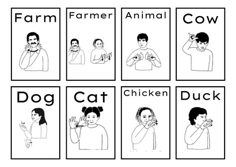 Asl Farm Animal Flashcards Bw And Color Boarders Made By Teachers
