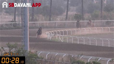 چهار نعل اسب نوری خان دوشنبه 14030605 Youtube