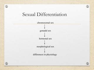 Sexual Differentiation Learn Easy Way PPTX