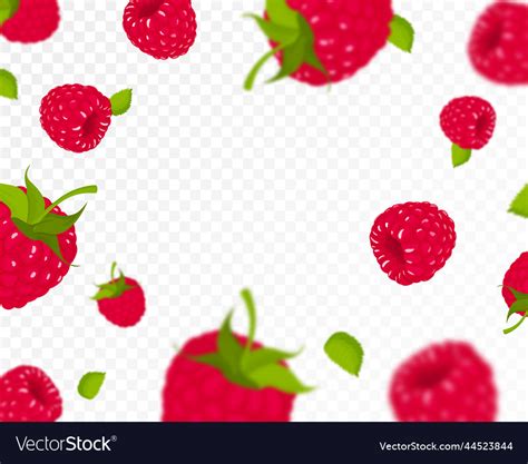 Raspberry Background Flying With Green Royalty Free Vector