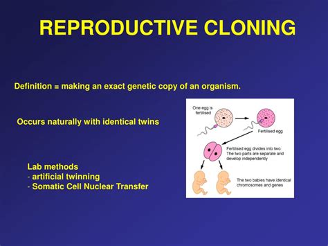 Ppt Reproductive Cloning Powerpoint Presentation Free Download Id 3148379