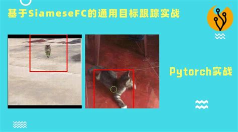 【项目实战课】基于pytorch的siamesefc通用目标跟踪实战 知乎