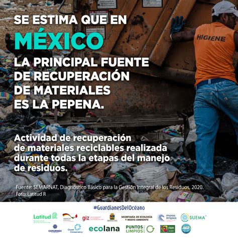 Flora Fauna Y Cultura De México Ac En México No Hay Cifras
