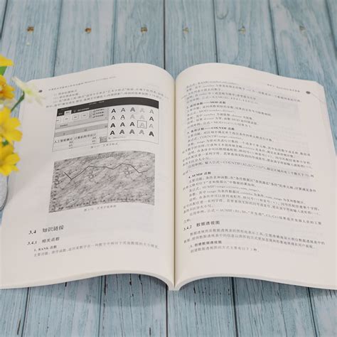 【官方正版】计算机应用基础上机实训教程 Windows 10 Office 2016 靳伟清华大学出版社 虎窝淘