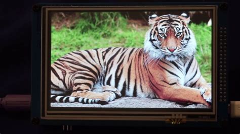 Introduction To The Micromite Plus Youtube