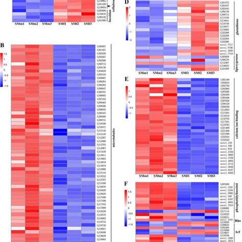 Validation Of Gene Expression By Qrt Pcr Bold Genes Represent