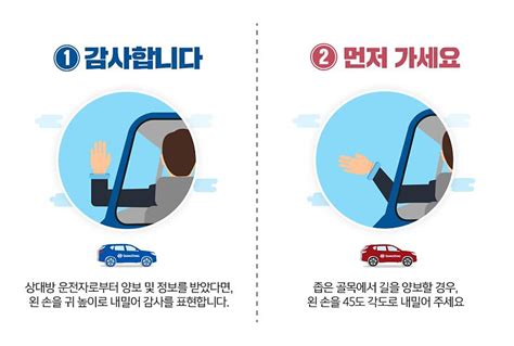 운전하는 사람들 중에 이거 다 아는 사람 잘 없음 인스티즈instiz 이슈 카테고리