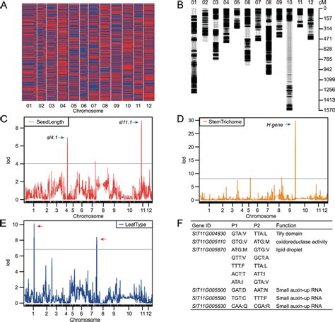 Genetic Map Construction And Qtl Mapping Of The Ril Population A