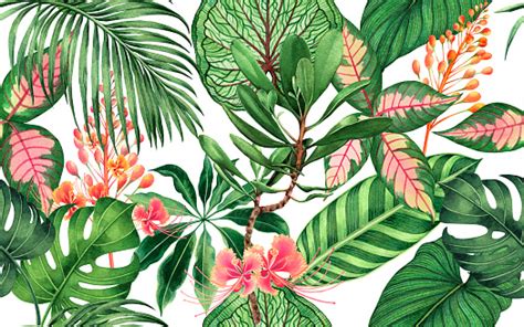 수채화 그림 다채로운 열대 야자수 잎 녹색 잎 원활한 패턴 배경 수채화 손으로 그린 그림 벽지 섬유 하와이 알로하 정글 스타일