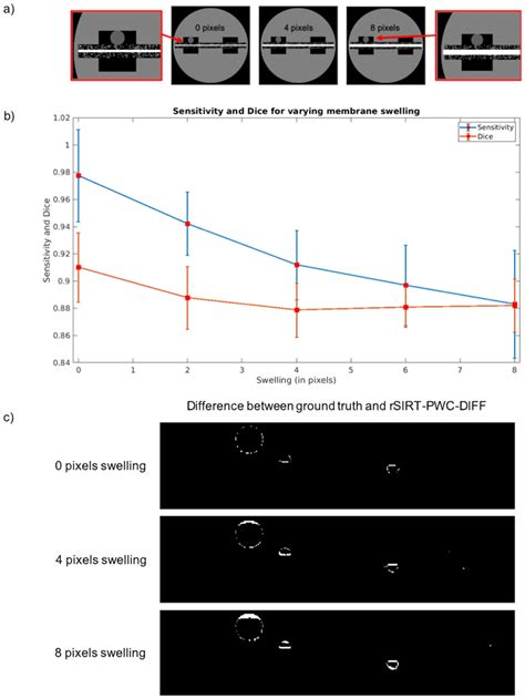 Membrane Swelling Effect Assessment In A Simulated Dynamic Phantom A Download Scientific